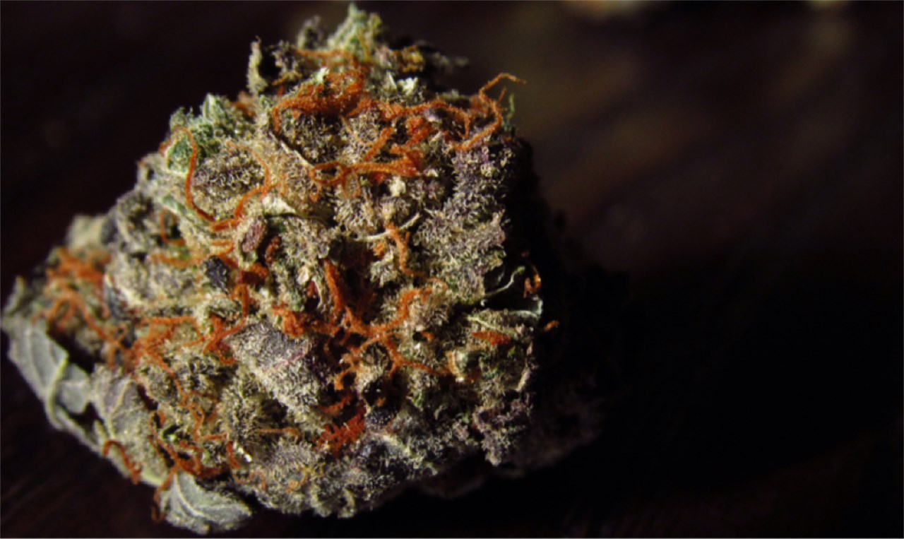 Ice Cream Cake Weed Strain in Jamaica | Jah Livity
